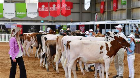 International Dairy Week 2022 At Tatura Results Guide The Weekly Times