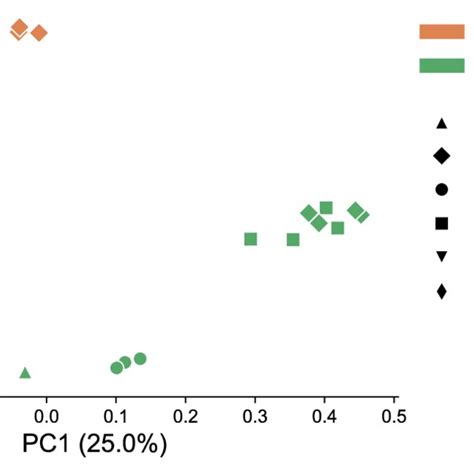 Principal Coordinates Analysis Pcoa Summarizing Community Composition