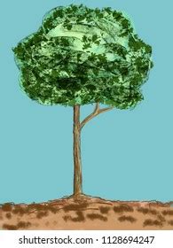 Tree Drawing Blue Background Stock Illustration 1128694247 Shutterstock