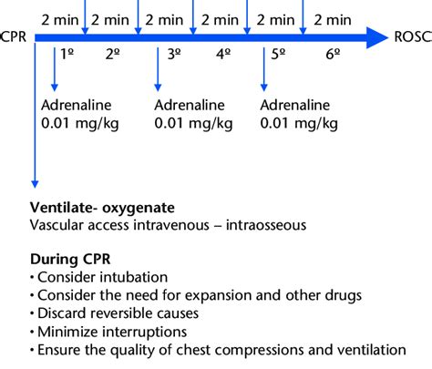 Algorithm Of Advanced Cardiopulmonary Resuscitation Cpr In Download Scientific Diagram