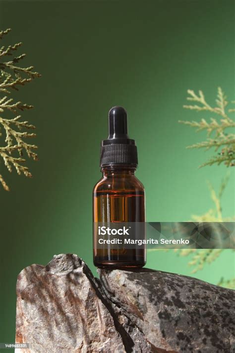 Thuja 가지가 있는 녹색 배경에 화장품 오일 에센셜 또는 세럼이 있는 유리 스포이드 병 Spa 천연 유기농 화장품 포장