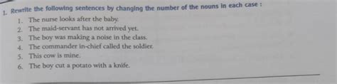 Rewrite The Following Sentences By Changing The Number Of The Nouns In Ea