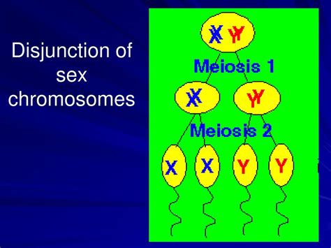 Congenital Generalized Hypertrichosis Dominant Gene Sex Linked X