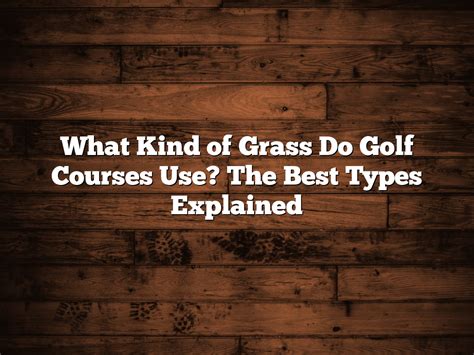 What Kind Of Grass Do Golf Courses Use The Best Types Explained