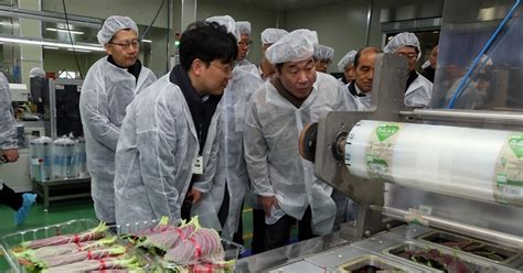 깻잎 포장·유통은 어떻게