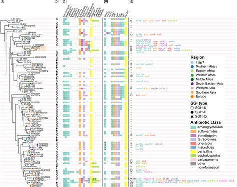 Horizontally Acquired Amr Genes In The S Enterica Serotype Kentucky