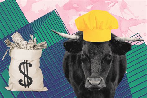 The 5 Best Career Paths For Taurus Complete Guide 2025