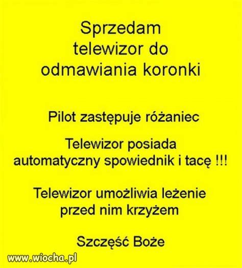 Jak Wierne Owieczki I Barany Radzili Sobie Przed Telewizja Wiocha