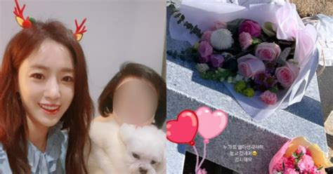 티아라 함은정 모친상 한달 후 찾은 묘소 엄마가 좋아하는 것들 먹먹 티아라 함은정 모친상 한달 후 찾은 묘소 엄마가 좋아하는 것들 먹먹