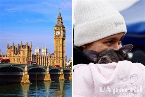 Українські біженці у Великій Британії британці просять українців