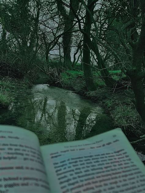 🍃🦋 𝕯𝖊𝖗𝖚𝖇𝖆𝖓𝖞 🗝 Green Aesthetic Dark Green Aesthetic Nature Aesthetic