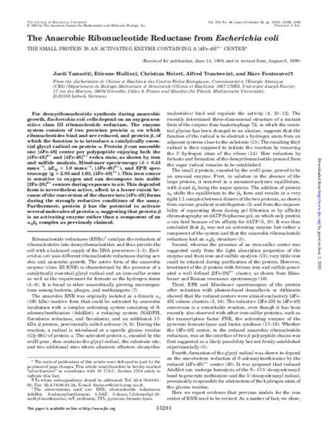 Pdf The Anaerobic Ribonucleotide Reductase From Escherichia Coli