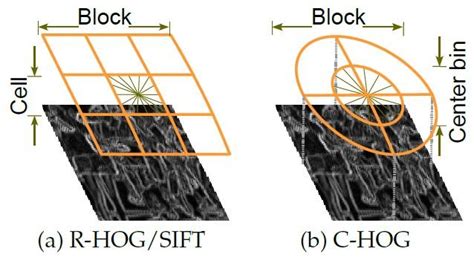 Variants Of HOG Descriptors A R HOG Descriptor B C HOG Download Scientific