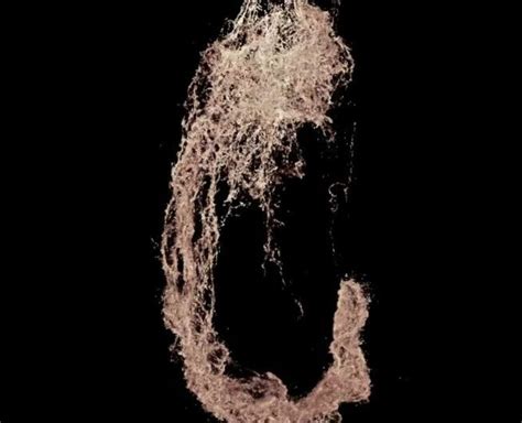 Dna Microscopy Creates 3d Imaging Of Entire Organisms From Inside Out International Hospital