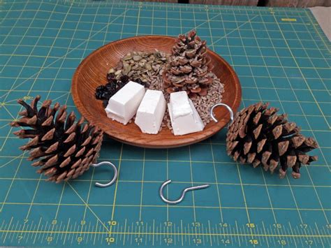 Basteln Mit Kindern Vogelfutter Selbst Machen Haus Garten Und Umwelt