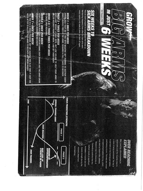 training program pdf