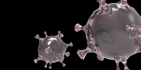 Macrophages An Origin Story Immunology