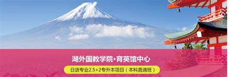 湖南外国语职业学院国际交流合作处
