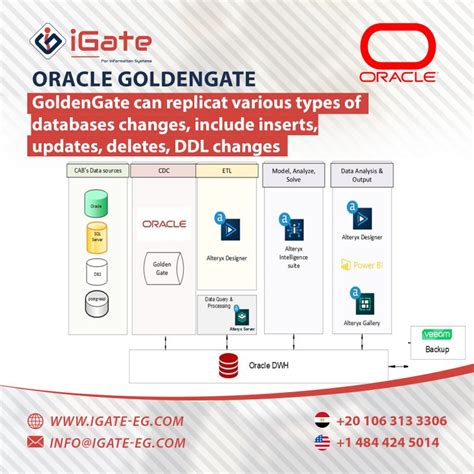 Oracle Igate Igate For Information Systems