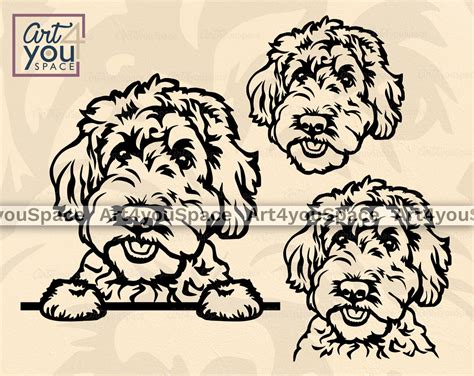 Buy Cockapoo Svg Dxf Png Art4youspace