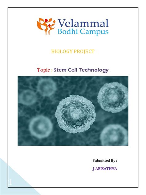 Stem Cell Project Pdf Stem Cell Cell Potency