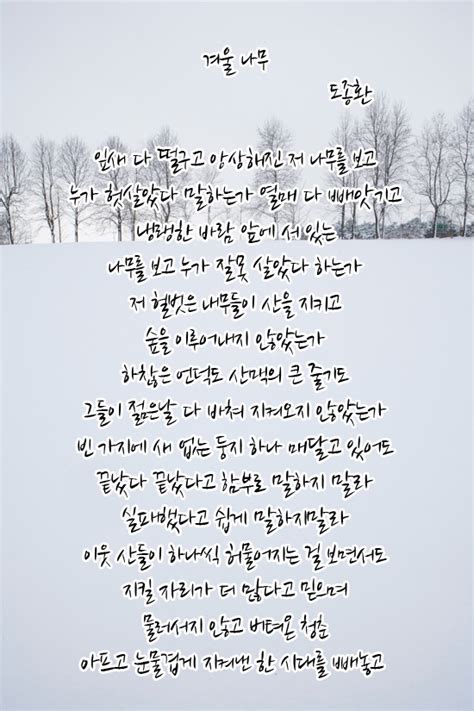 겨울에 관한 시 추천 네이버 블로그