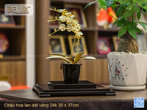 Chậu Hoa Lan Dát Vàng 24k