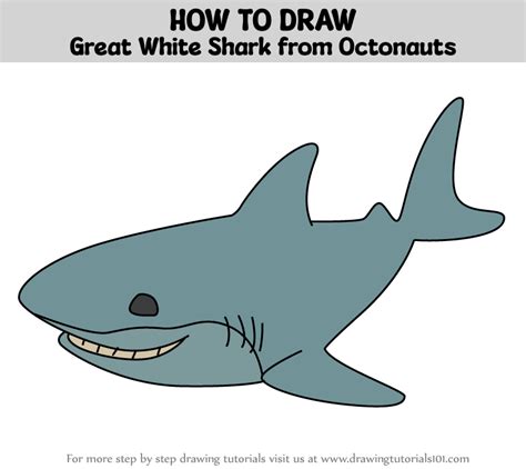 How To Draw A Great White Shark Printable Step By Step