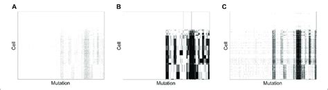 Subclones Inferred From Idh Mutant Gliomas Dataset Scclone