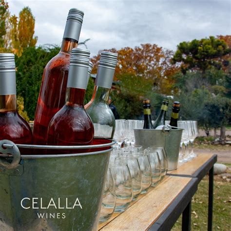Celalla Wines • Instagram Photos And Videos