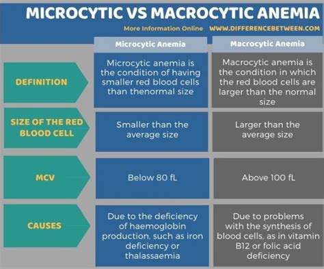 Difference Between Microcytic And Macrocytic Anemia Compare The Difference Between Similar Terms