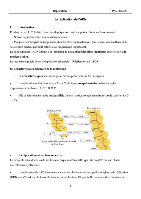 SOLUTION Cours Sur La Replication De Ladn Pharmacie Studypool
