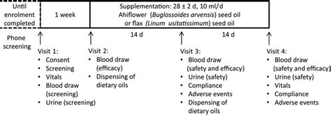 Phase I Clinical Trial Design Timeline And Activities Associated With