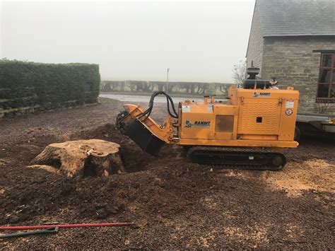 Tree Services Hereford Stump Grinding Removal