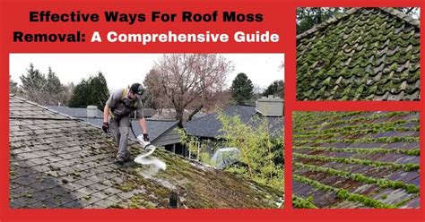 Effective Ways For Roof Moss Removal A Comprehensive Guide Roof
