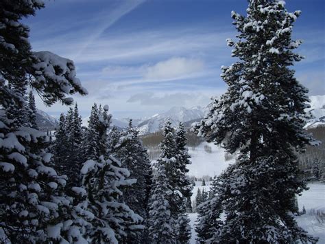 Free Images Landscape Tree Nature Forest Outdoor Wilderness