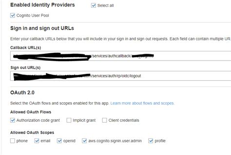 Single Sign On OpenID Connect AWS Cognito ERROR No OpenId Response