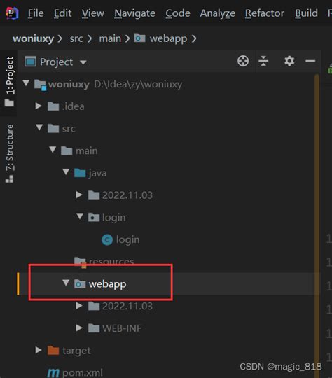 idea的使用及web项目构建 idea 原项目新加webapp csdn博客