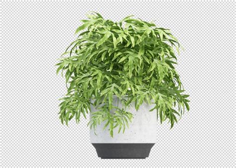 Premium Psd Wide Variety Of Trees And Shrubs Rendering