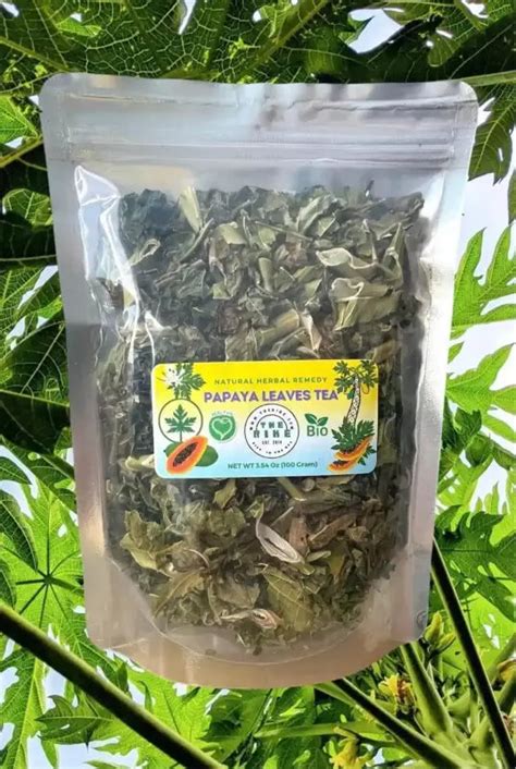 Dried Papaya Leaf Tea Pawpaw Leaves Herbal Tea Loose Tea Ceylon 100 Gram