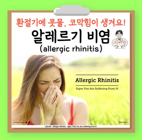 환절기 알레르기 1 알레르기 비염allergic Rhinitis 분류 원인 증상 네이버 블로그