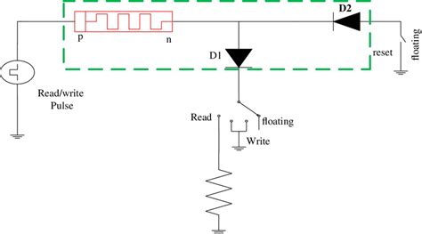 Extracted View Of The Selected Cell Of Figure 4 Along With The Read And Download Scientific