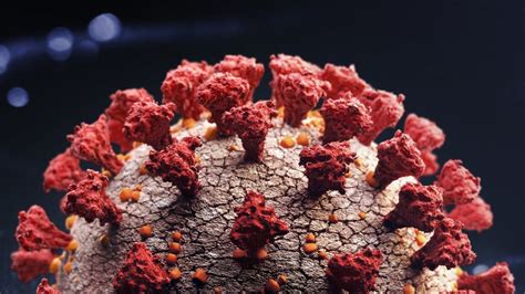 New Variant Of Coronavirus Identified In England Bbc News