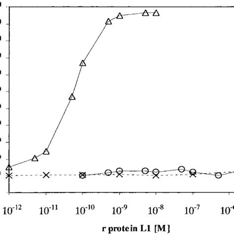 Binding Curve For The Interaction Of Ribosomal Download Scientific