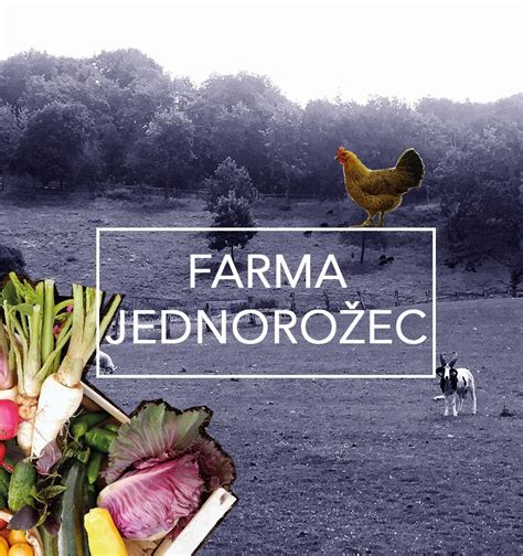 Malešiceeu Komunitou Podporované Zemědělství