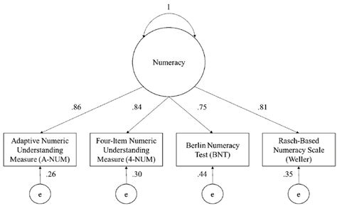 Developing And Validating The Numeric Understanding Measures Nums