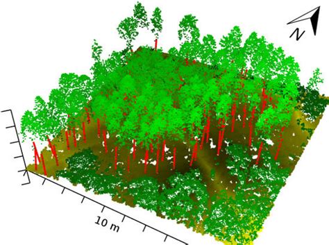 Remote Sensing Free Full Text Atrunk—an Als Based Trunk Detection Algorithm