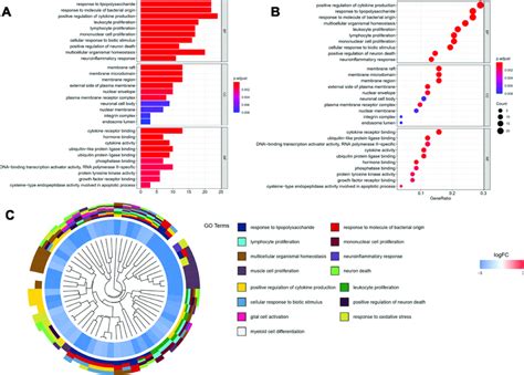 Go Functional Enrichment Analysis Represented In Bar Chart A Bubble