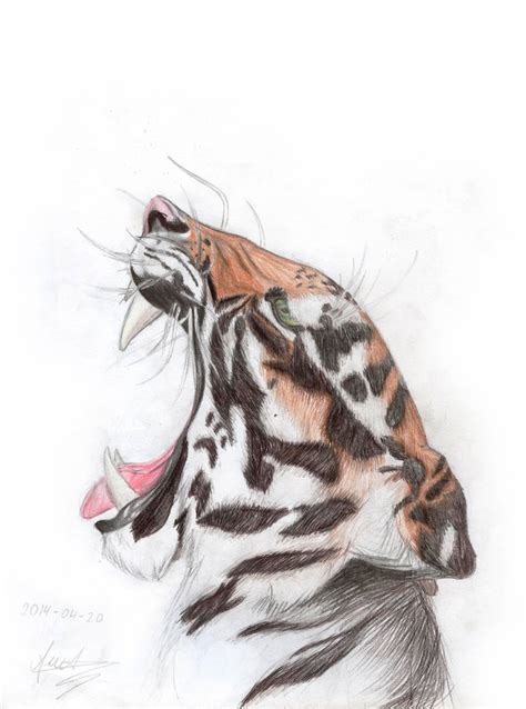 Roaring Tiger By Heartsoullifepassion On Deviantart