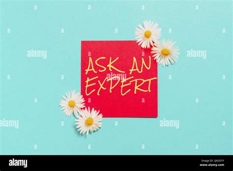 Conceptual Caption Ask An Expert Word For Superior Reliable Ace